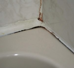 Receveurs de douche: fuites et infiltrations - comment les gérer